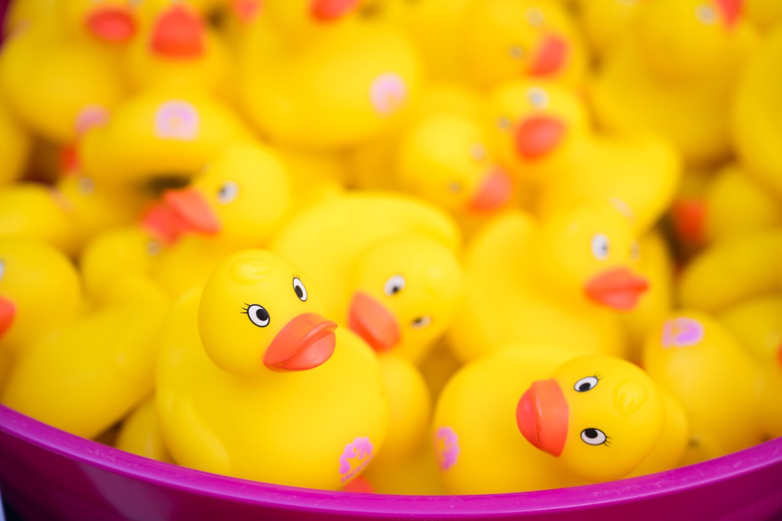 Duck Derby | Nexus Family Recovery Center